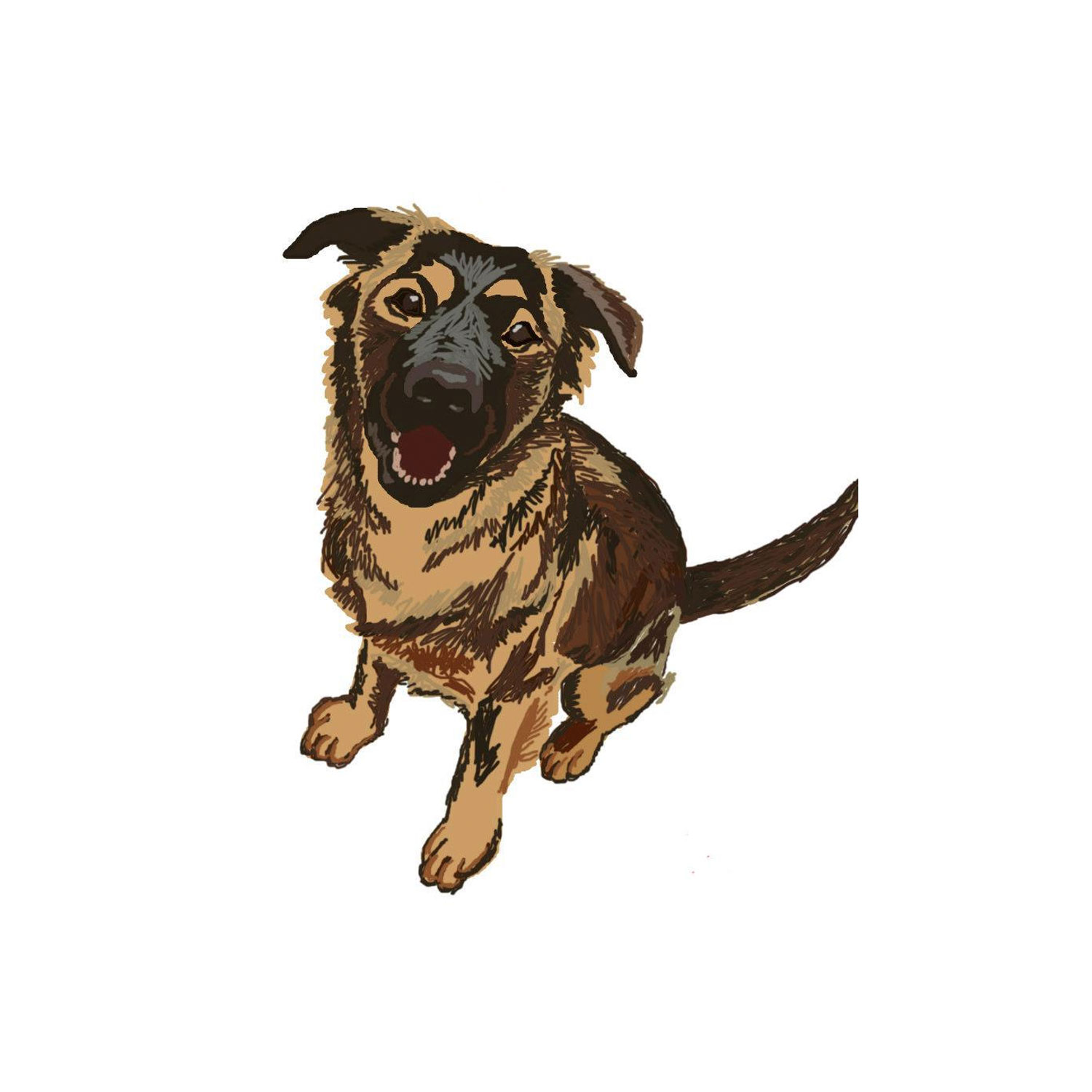 Illustrations – Leah McClellan
